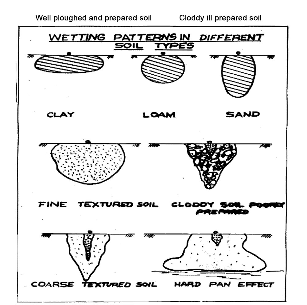 Blog at Jains - Soil-Plant-Water Relationship in Drip Irrigation System