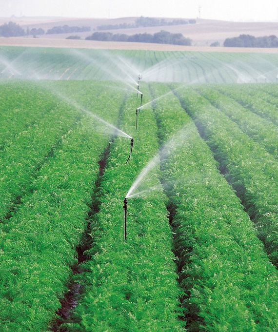 Micro Irrigation